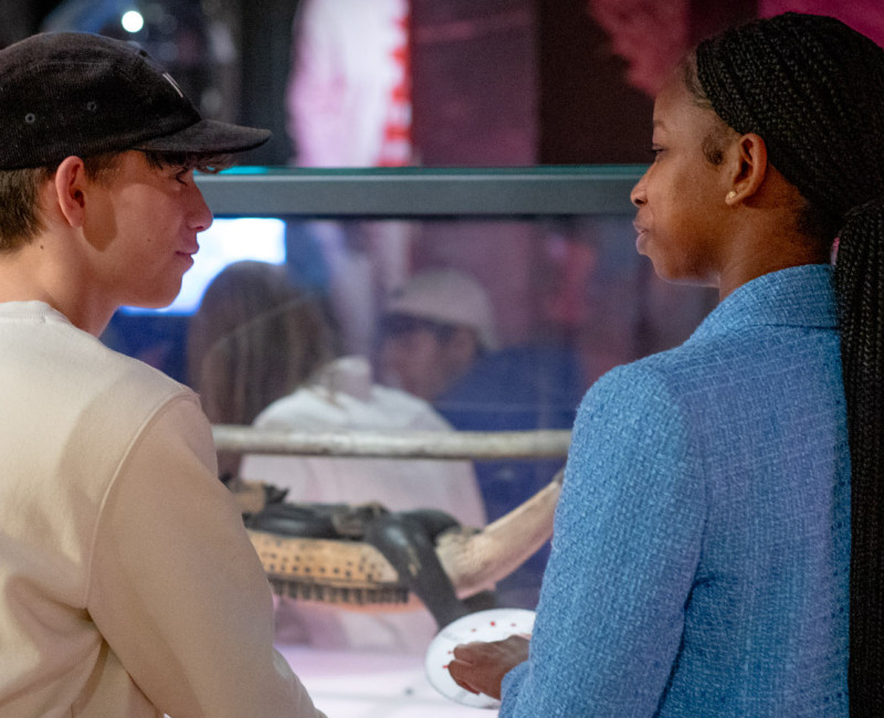 HBO/WO | Wereldmuseum Rotterdam